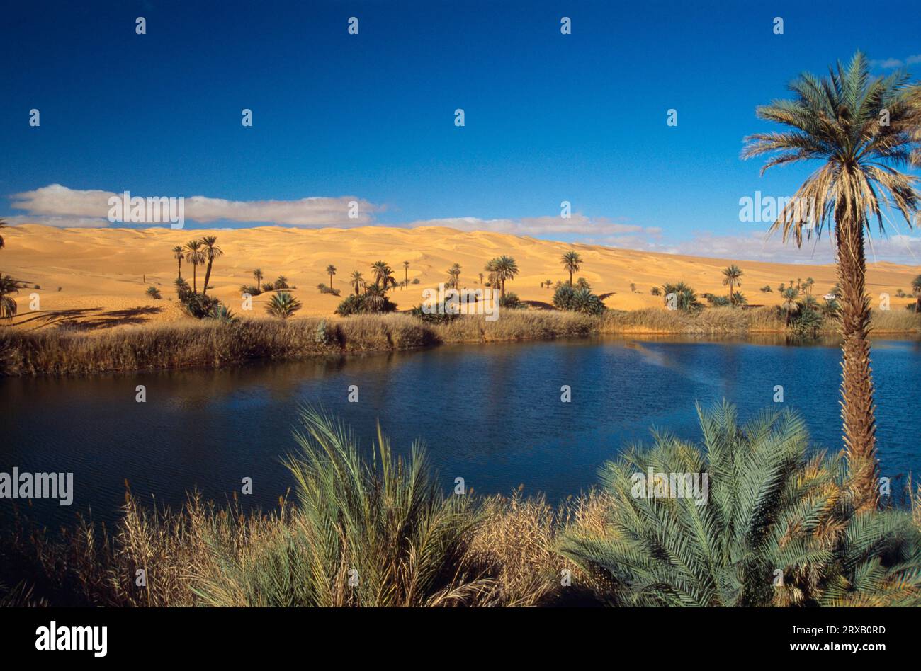 Oasis Geography Definition