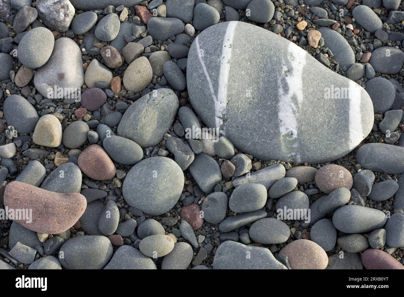 Stones on the beach, Finnmark, pebbles, Norway Stock Photo - Alamy