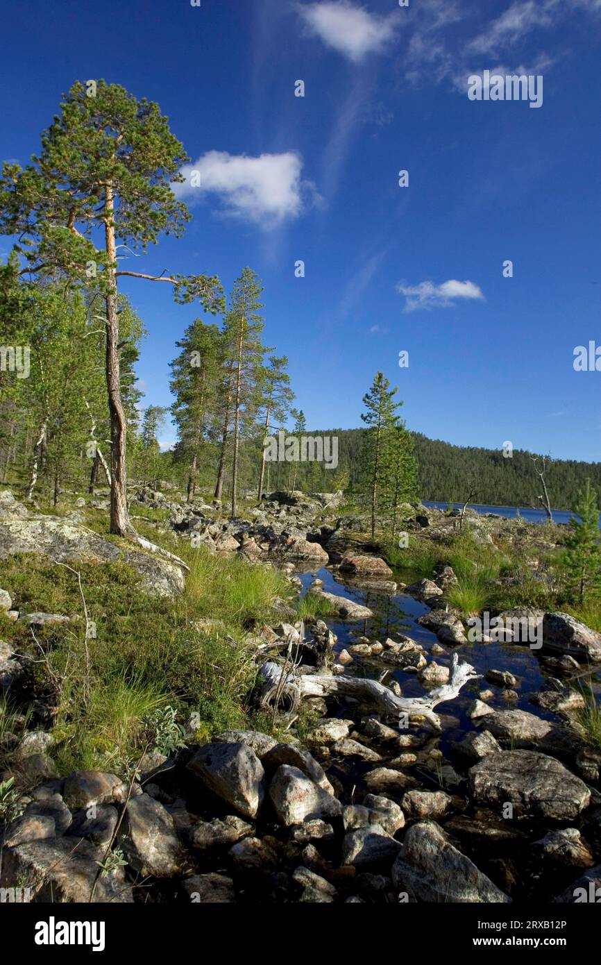 Lake Inari, Lapland, Finland Stock Photo - Alamy