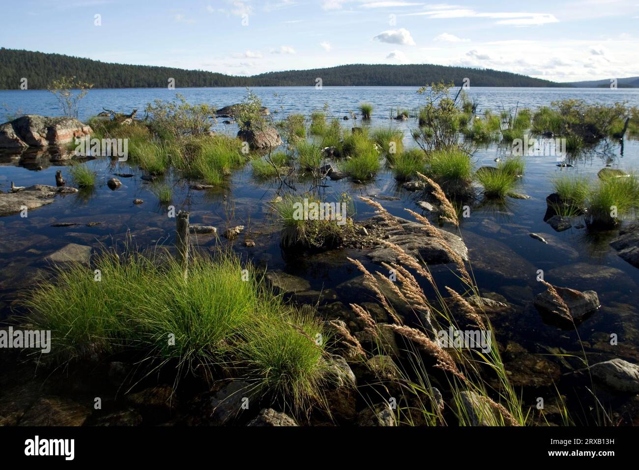 Lake Inari, Lapland, Finland Stock Photo - Alamy