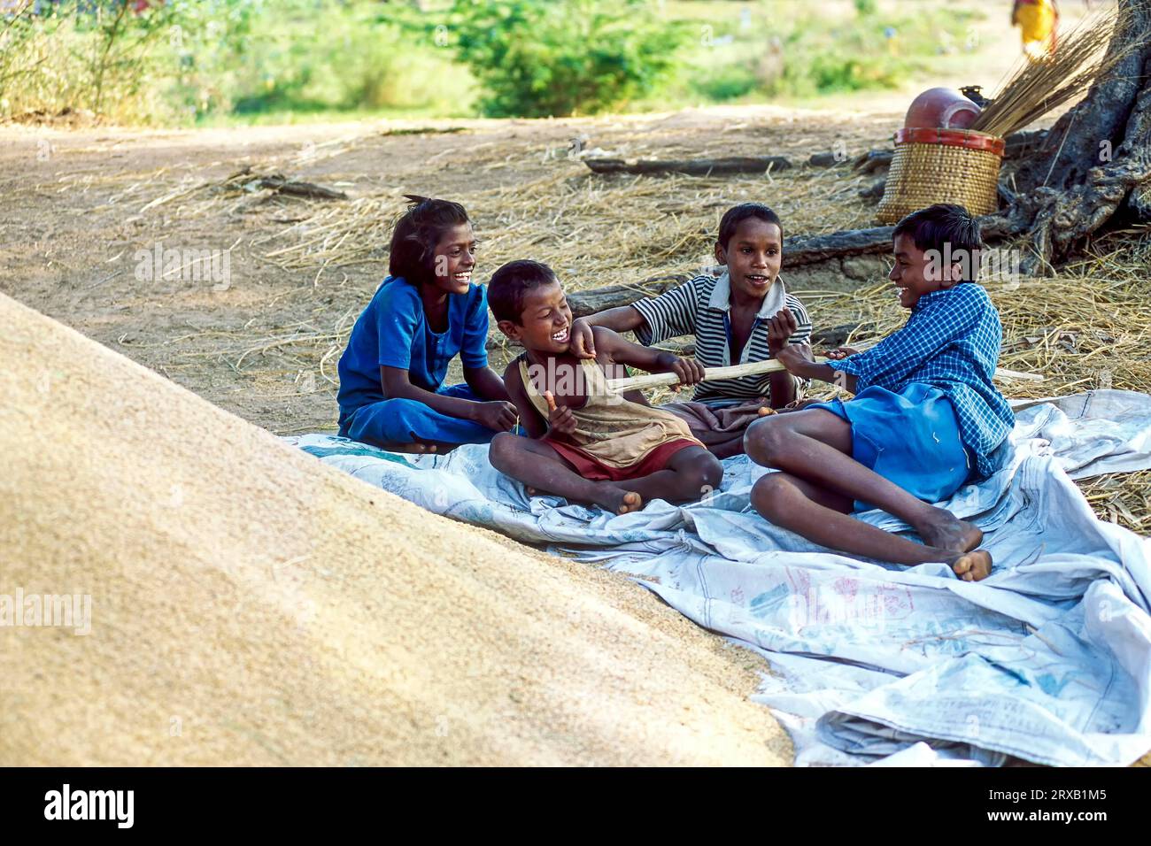Children playing near harvested grains, Tamil Nadu, South India, India ...