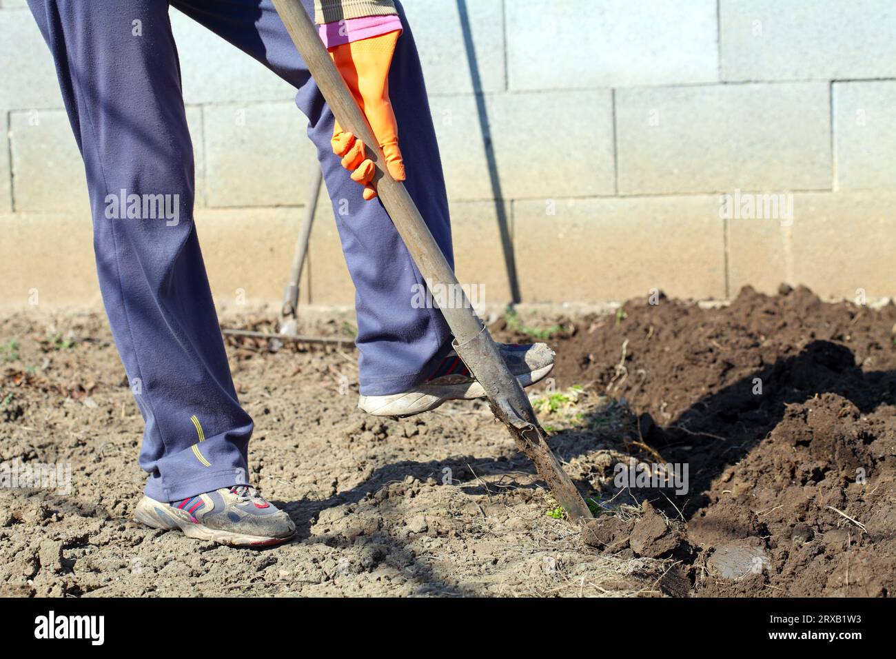 Digging spring soil with shovel Stock Photo - Alamy