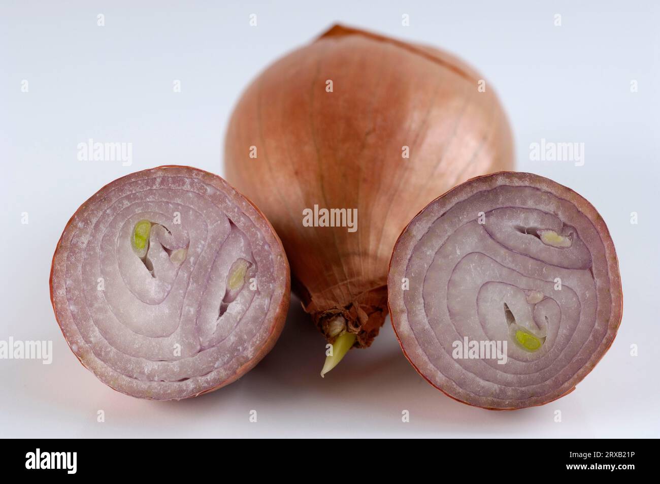 Common onions (Allium cepa) 'Echalot Stock Photo - Alamy