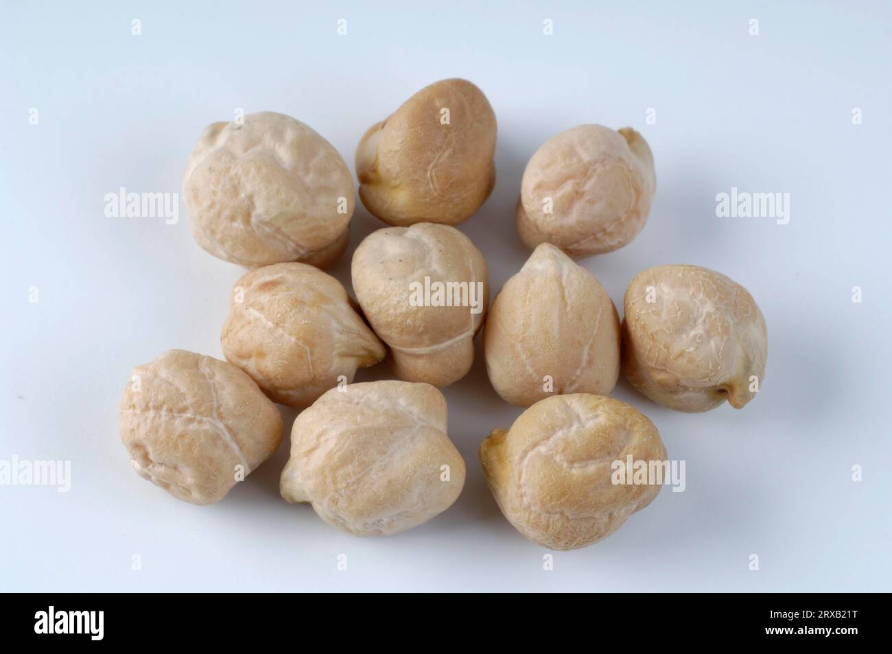Chickpeas (Cicer arietinum), chestnut bean, chickpea, dwarf pea Stock ...