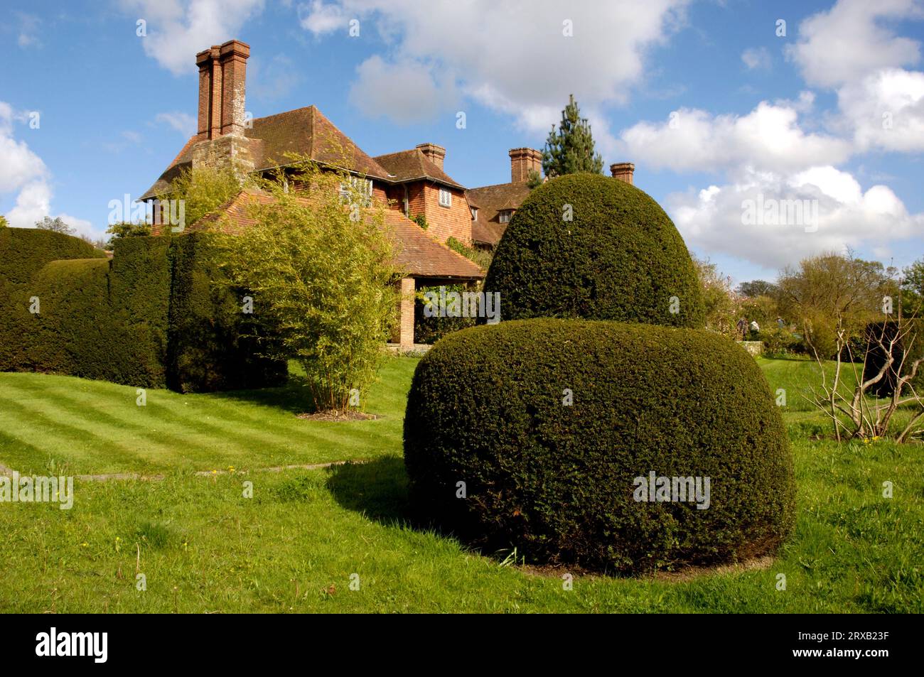 English yew, Great Dixter, England, yew (Taxus baccata), topiary ...