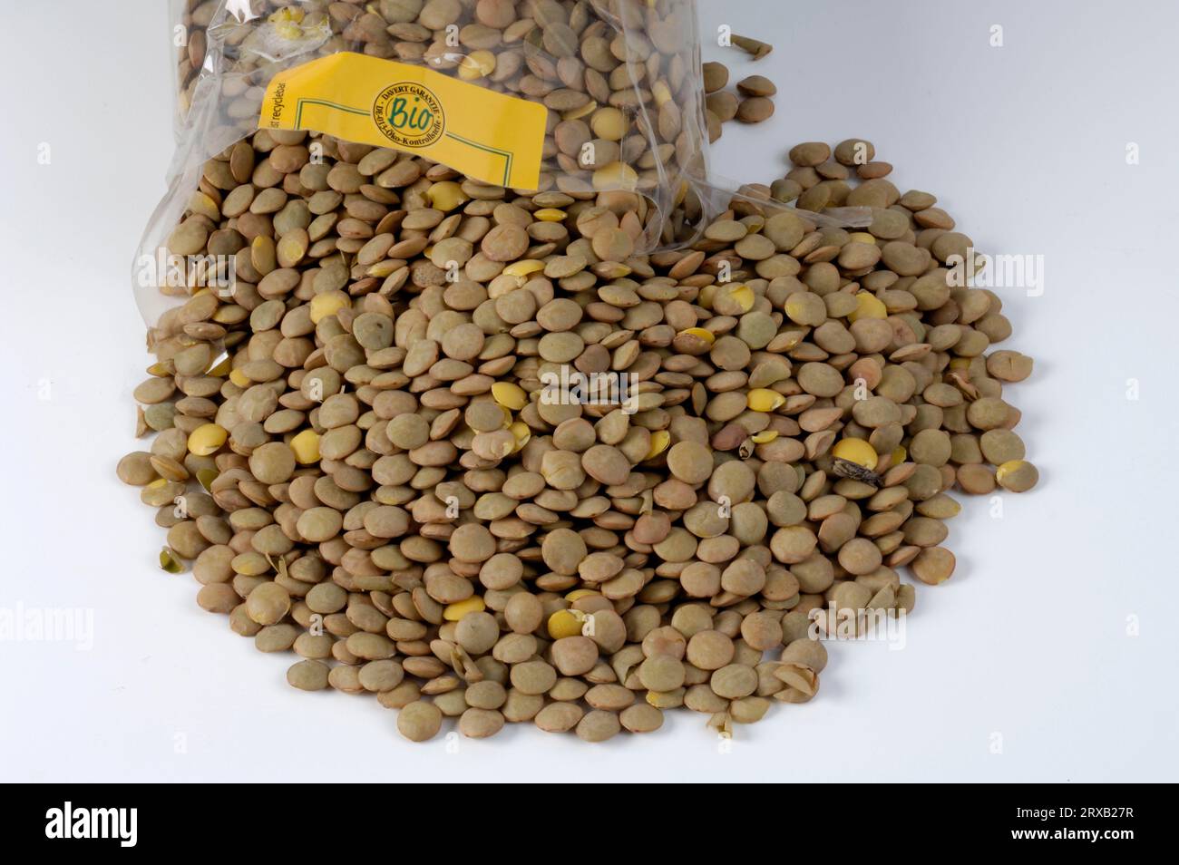 Brown lentils (Lens esculenta) from organic cultivation Stock Photo - Alamy