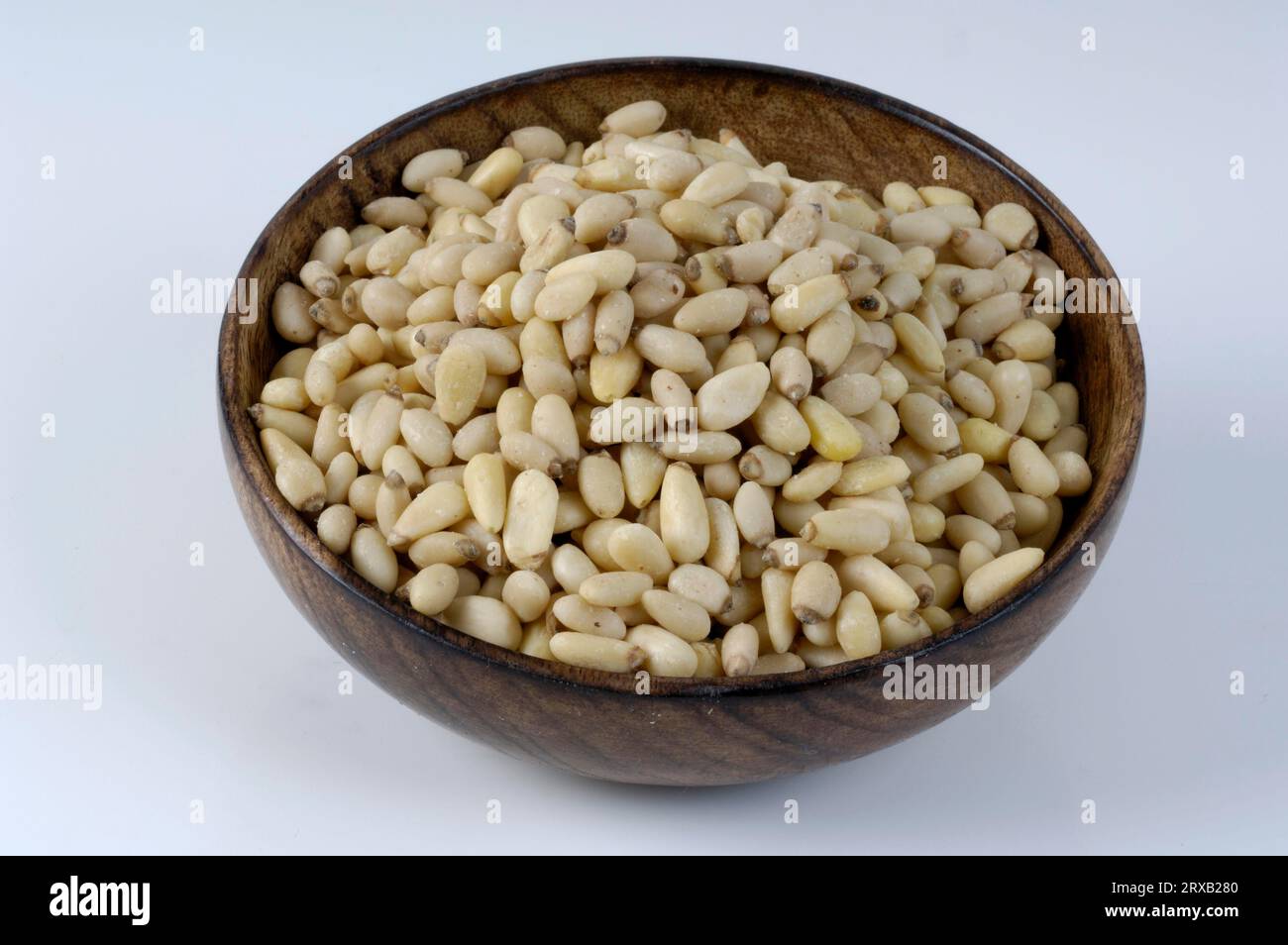 Pinus pinea cutout hi-res stock photography and images - Alamy