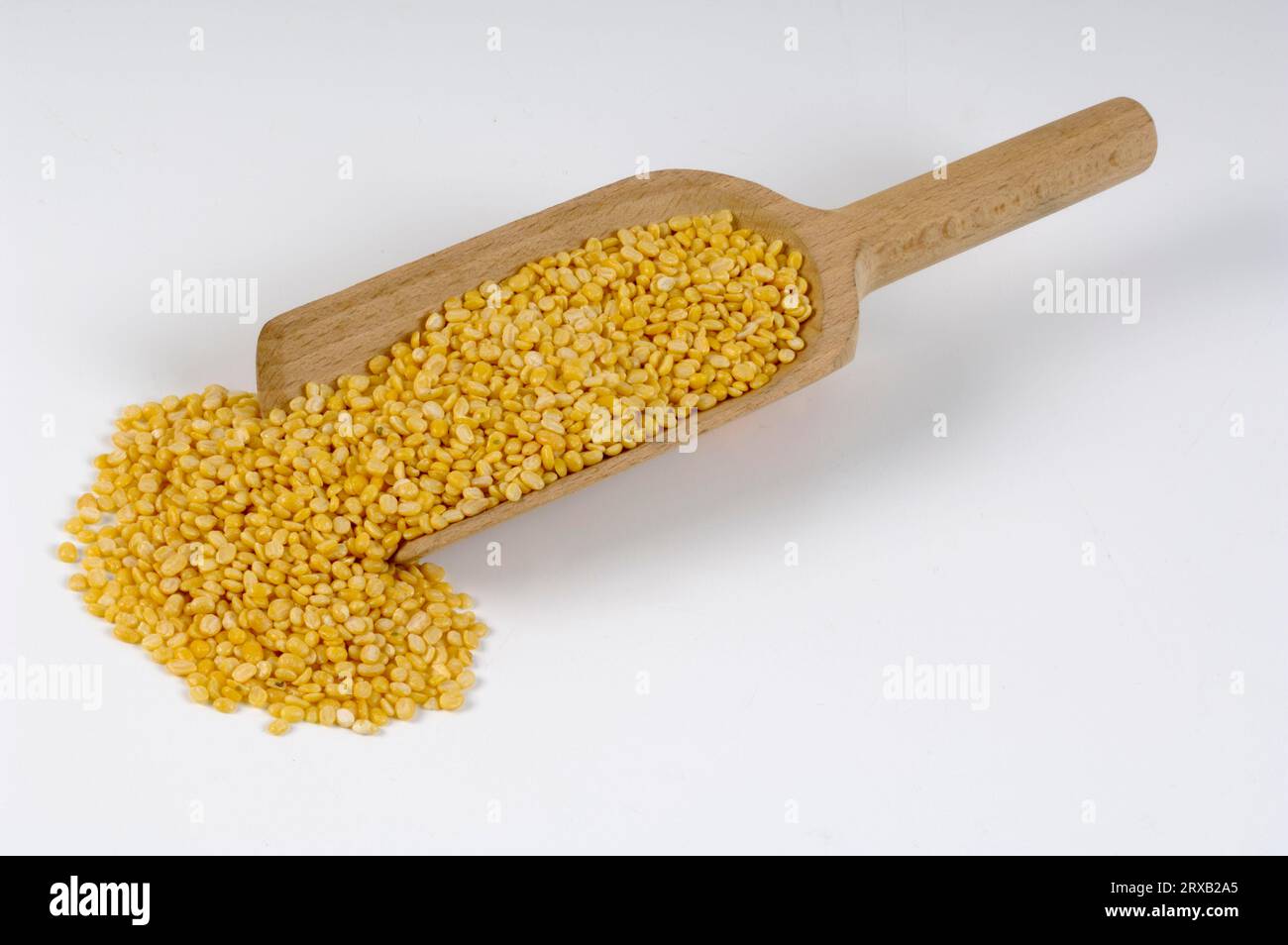 Mung bean (Phaseolus radiatus) yellow (Vigna mungo) (Phaseolus mungo ...