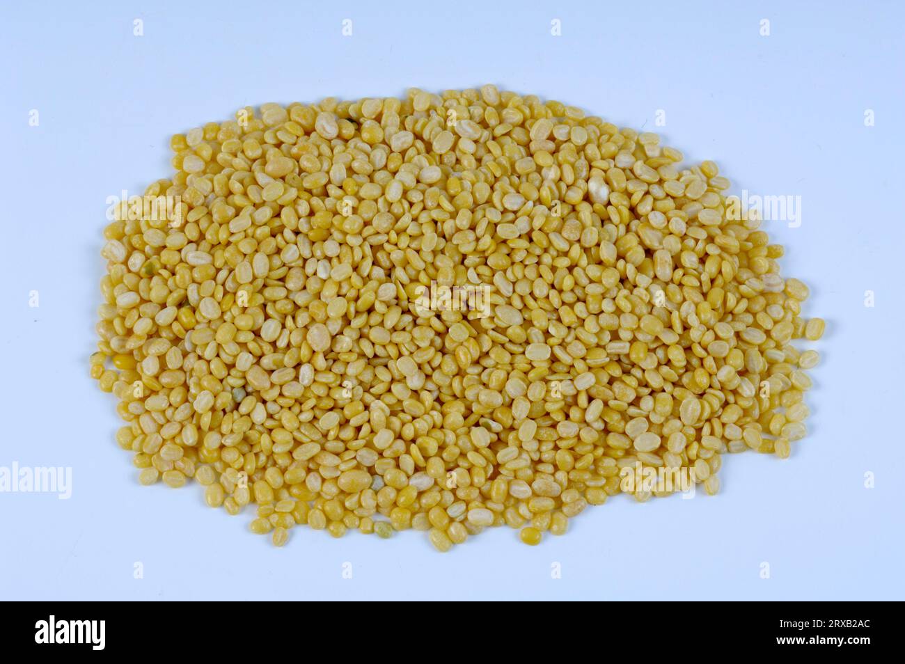 Mung bean (Phaseolus radiatus) yellow (Vigna mungo) (Phaseolus mungo ...