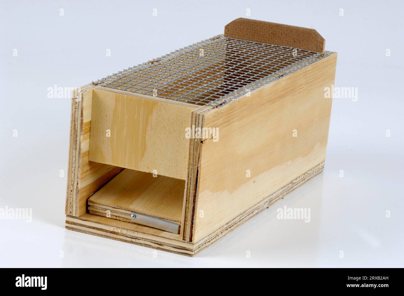 Live trap for mice, mousetrap Stock Photo - Alamy