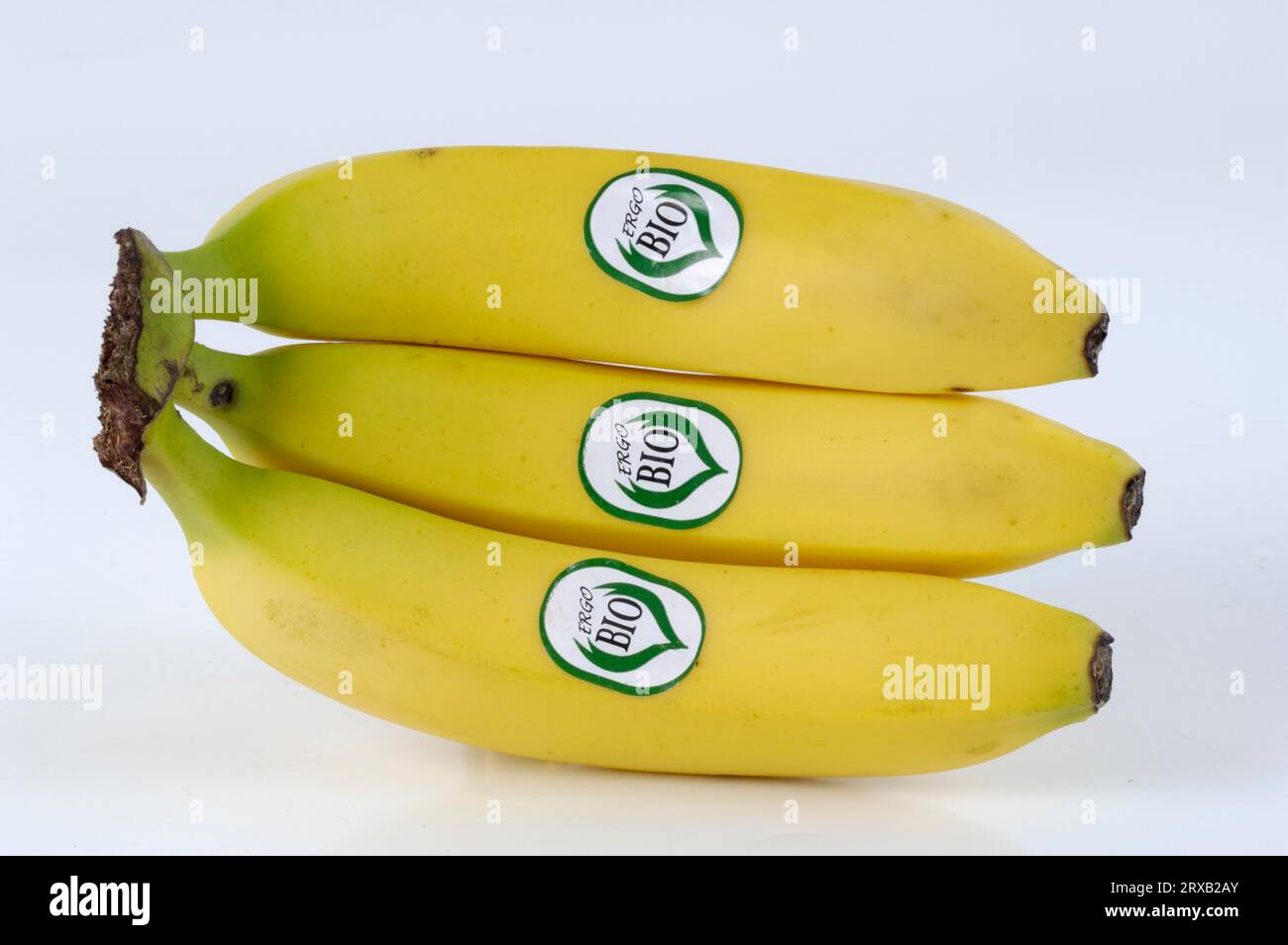Bananas with label 'Bio', Bananas (Musa) with label 'Bio', Organic ...