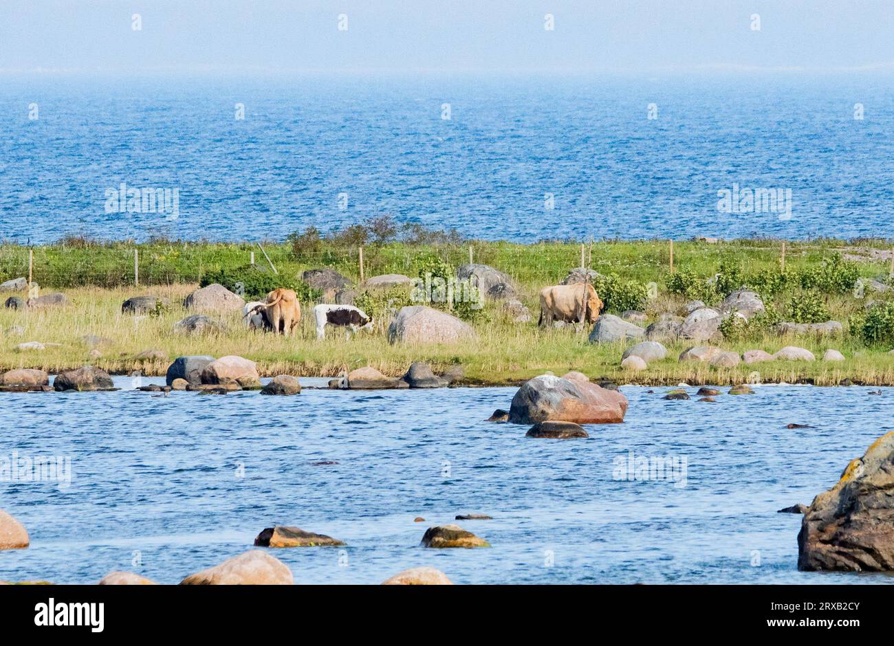 Natural lea by the sea Stock Photo - Alamy