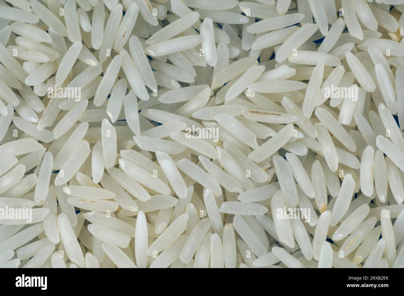 Basmati rice, rice grains Stock Photo - Alamy