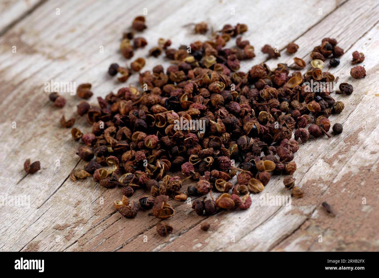 Szechuan pepper, Fagara, Zanthoxylum piperitum (Zanthoxylum piperitum ...