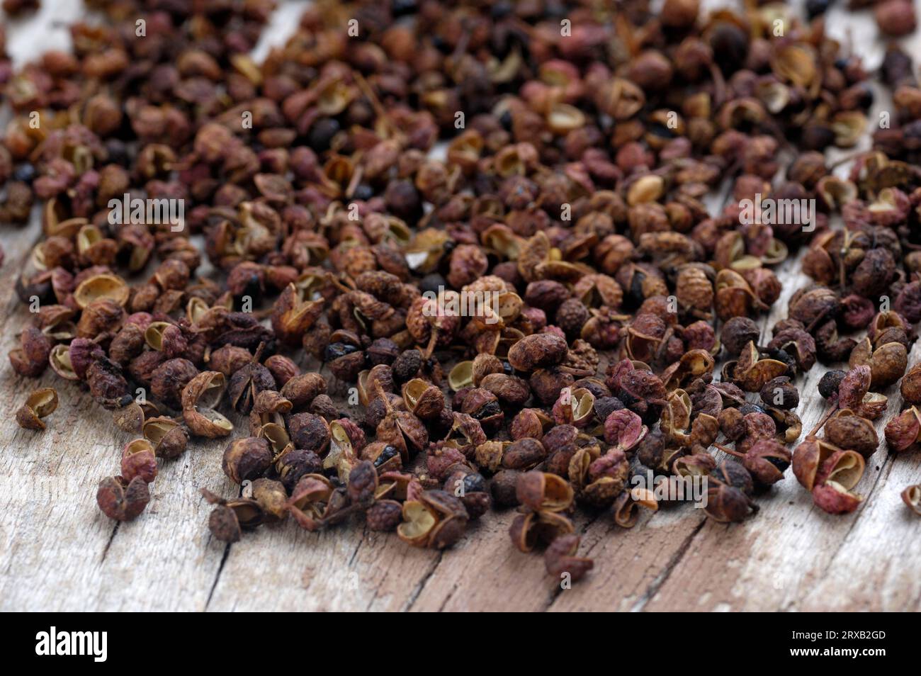 Szechuan pepper, Fagara, Zanthoxylum piperitum (Zanthoxylum piperitum ...