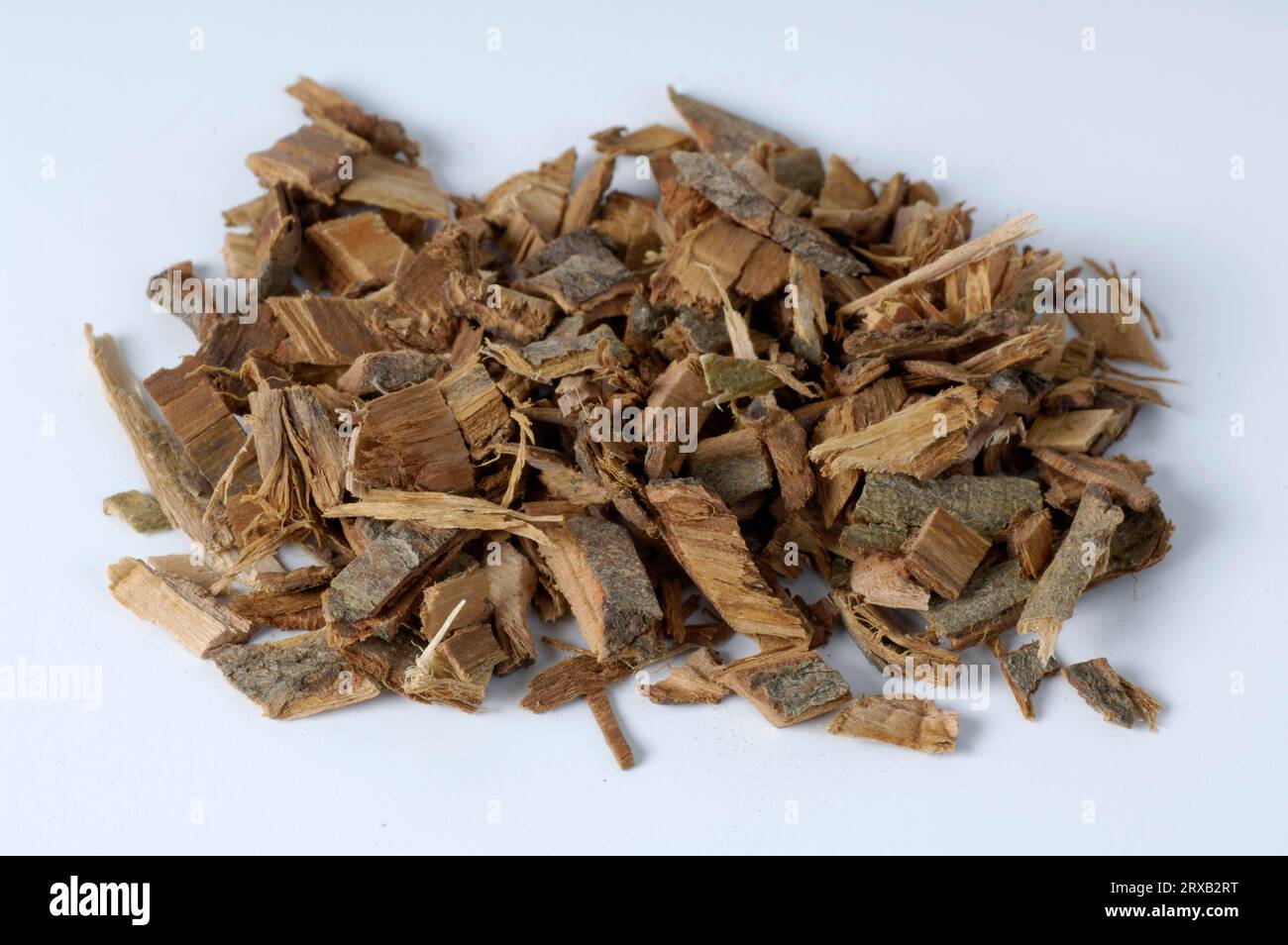 Willow tree bark tea hi-res stock photography and images - Alamy
