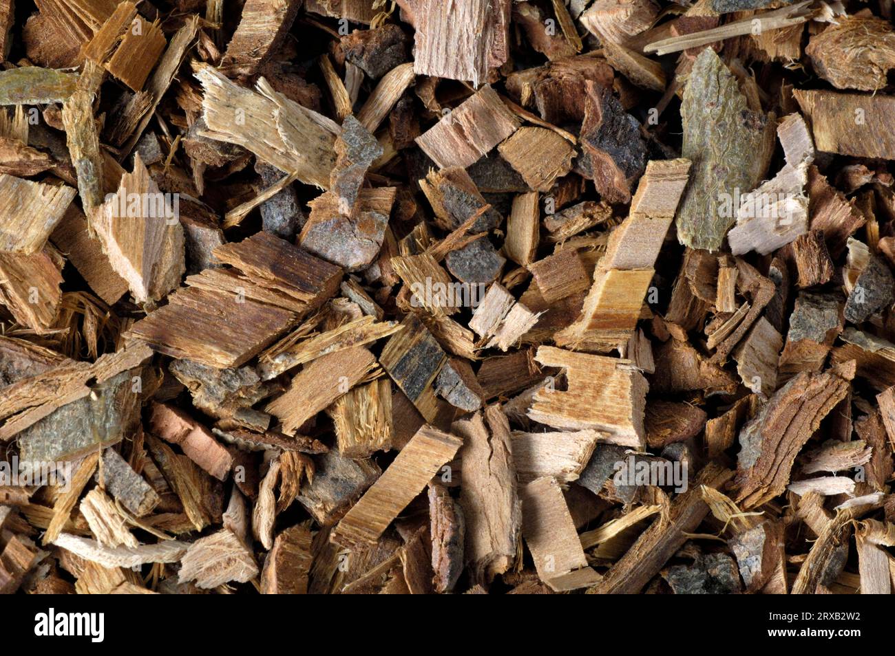 Willow tree bark tea hi-res stock photography and images - Alamy