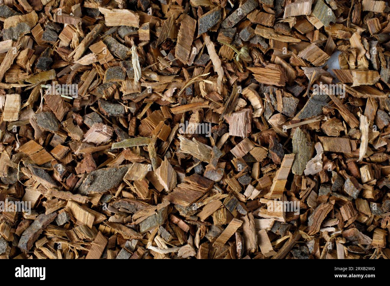 Willow tree bark tea hi-res stock photography and images - Alamy