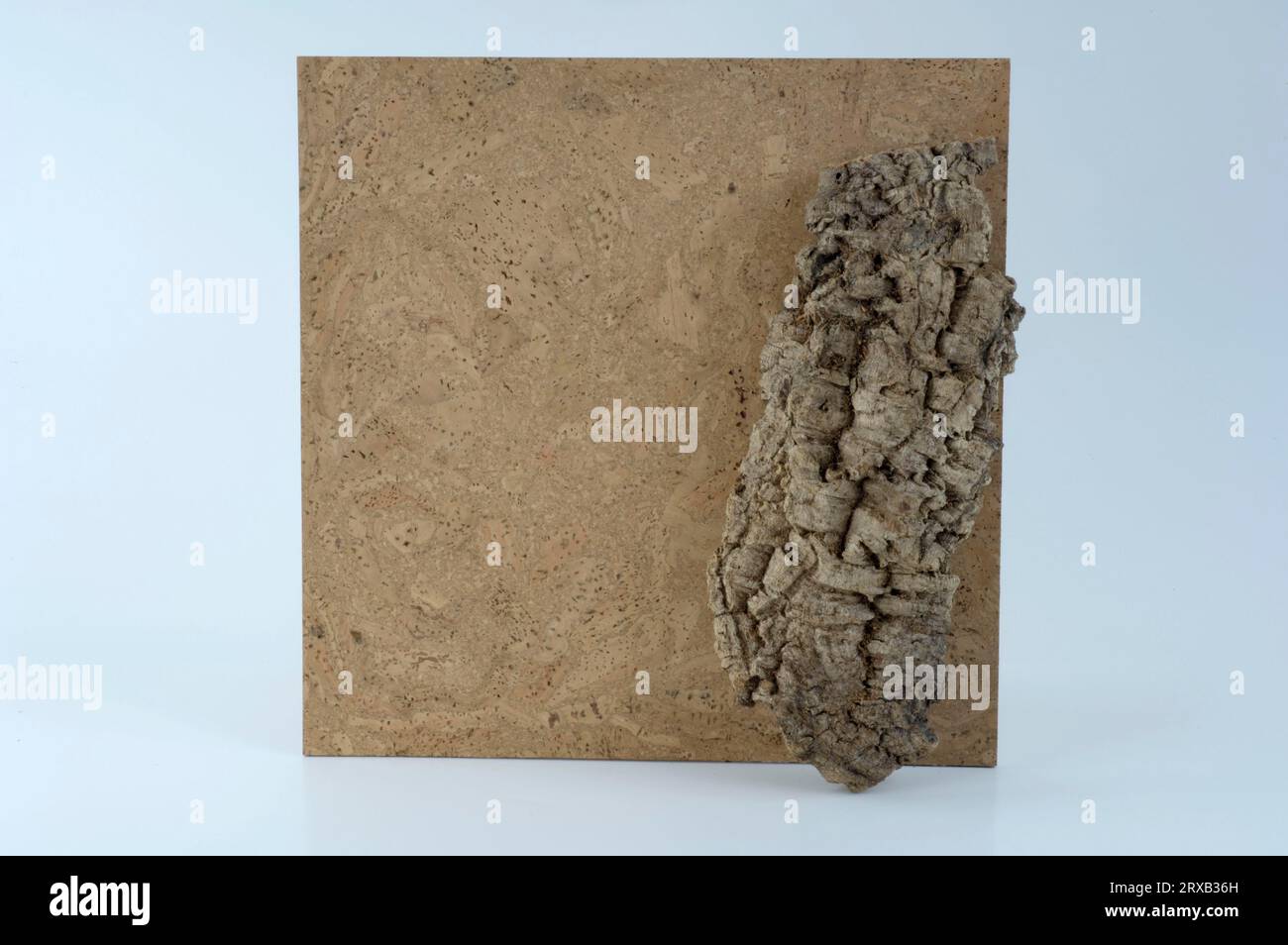 Cork plate, Cork floor, cut out plate, Object Stock Photo - Alamy