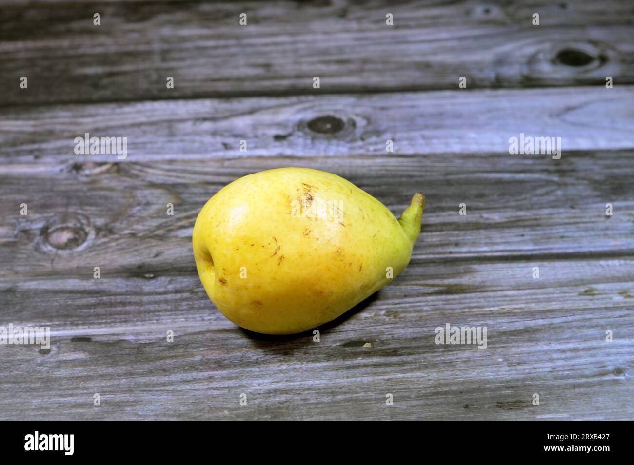 Fresh pears fruits, The pear tree and shrub are a species of genus ...