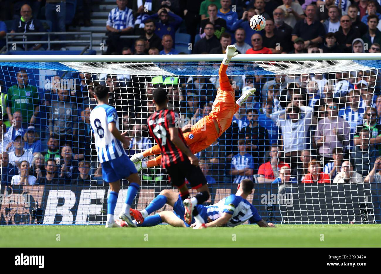 Brighton and Hove Albion goalkeeper Bart Verbruggen concedes their side ...