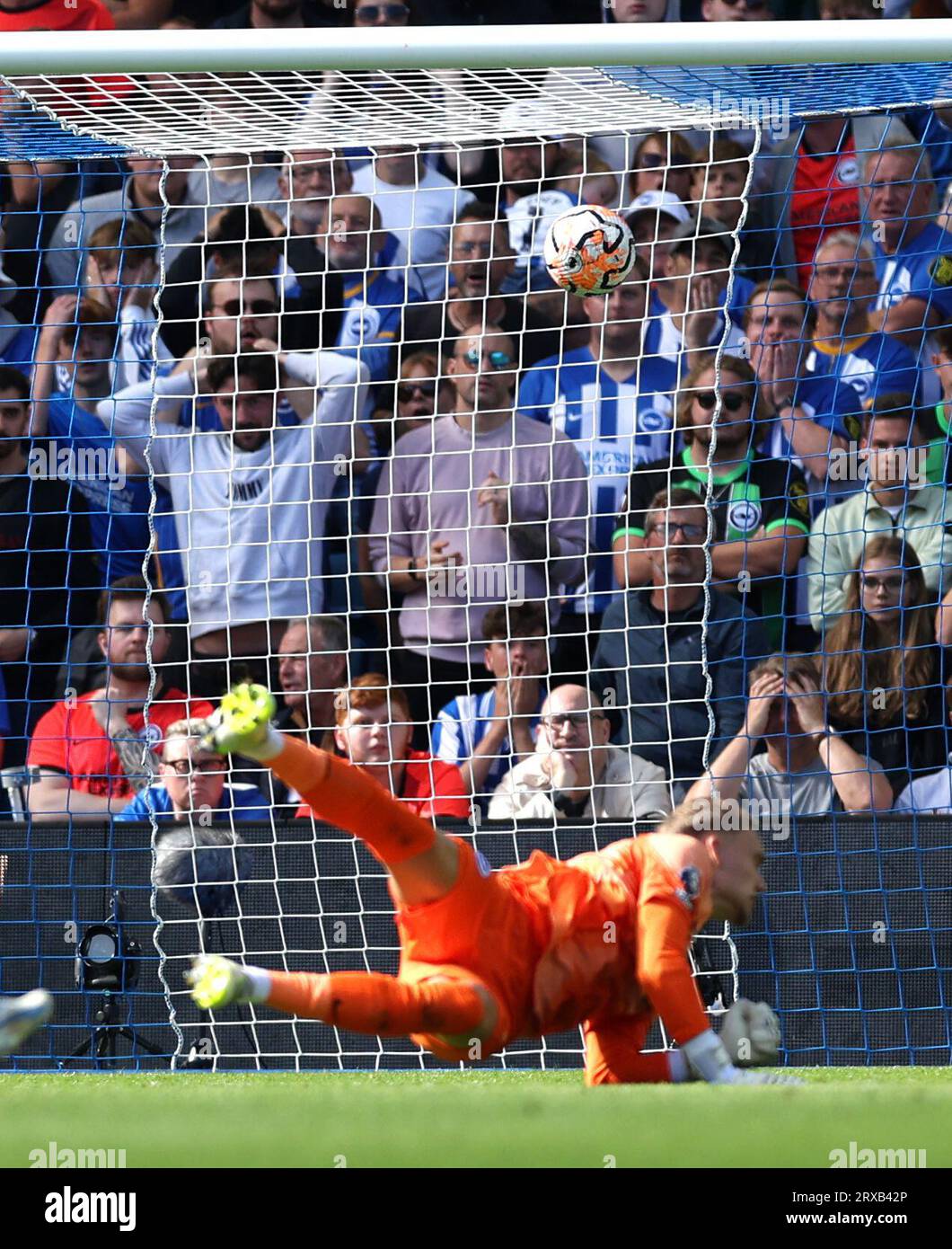 Brighton and Hove Albion goalkeeper Bart Verbruggen concedes their side ...