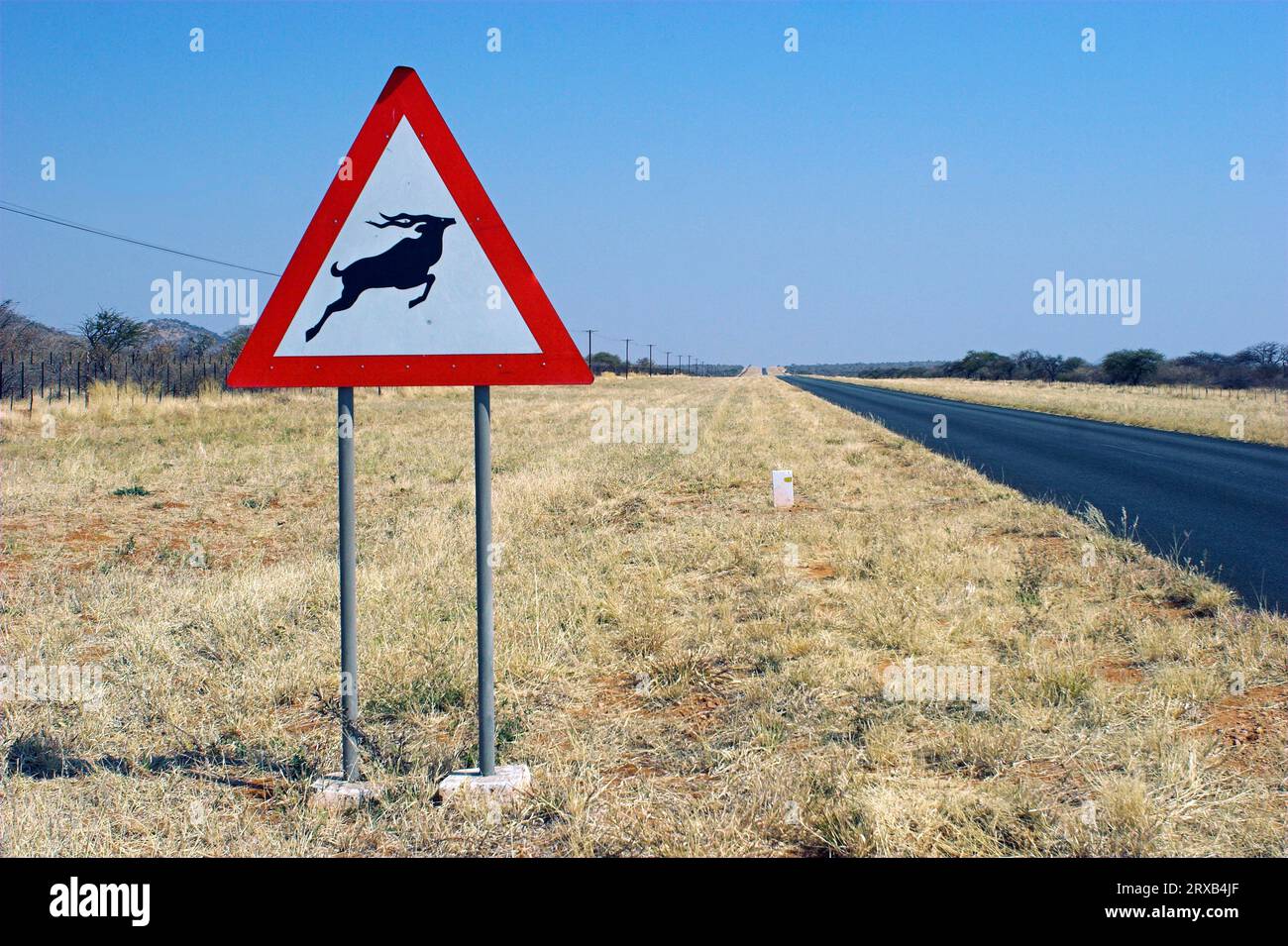 Greater kudu (Tragelaphus strepsiceros) warning sign, road sign ...