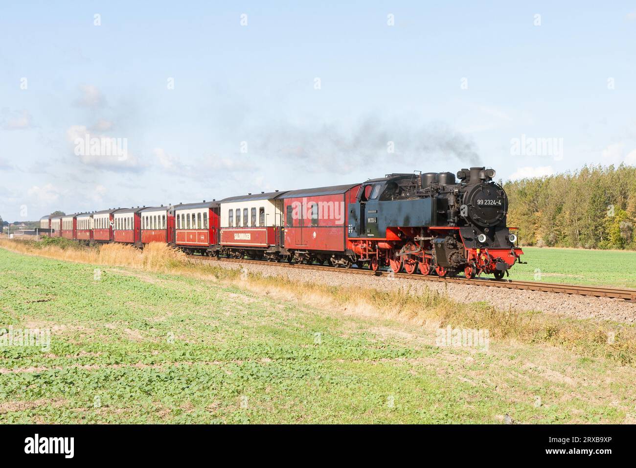The Bäderbahn Molli steam strain between Bad Doberan and Kühlungsborn ...