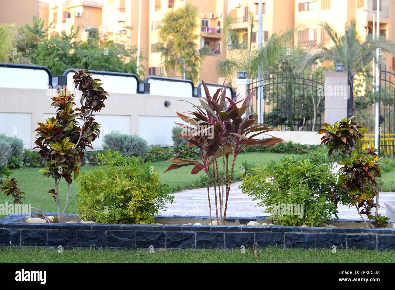 The garden and the surroundings of a new built mosque masjid in Cairo ...