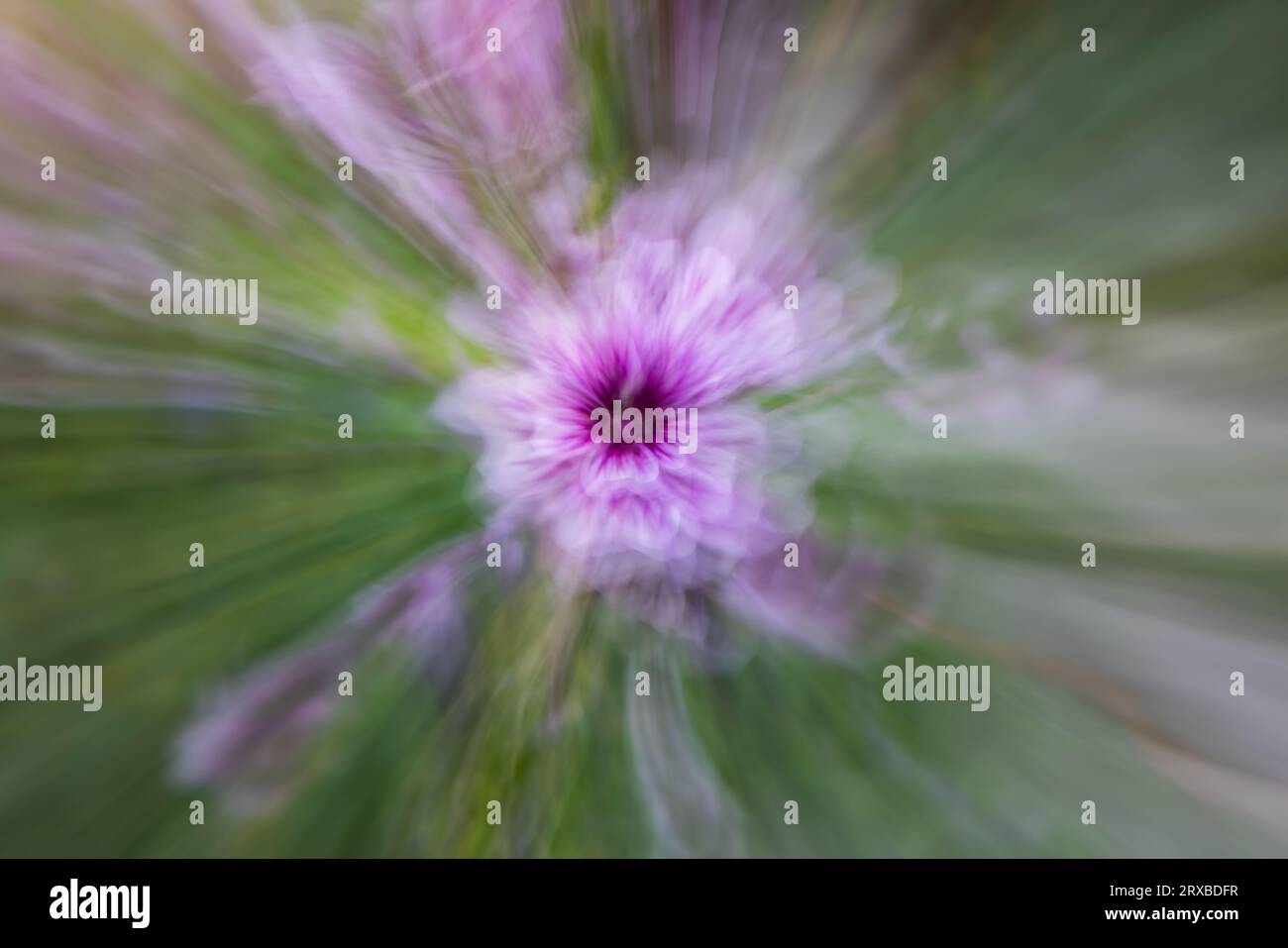 Abstract zoom hi-res stock photography and images - Alamy