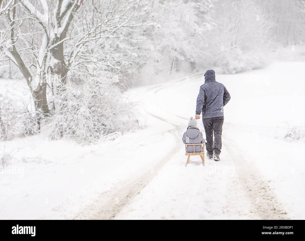 A father sledding his child on the snow winter day. Family vacation in ...