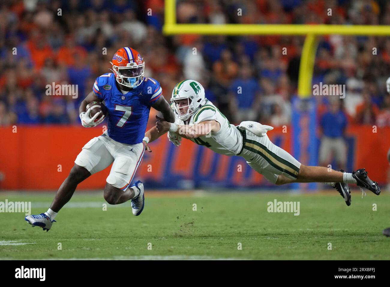 GAINESVILLE, FL - SEPTEMBER 23: Charlotte 49ers long snapper Adam ...
