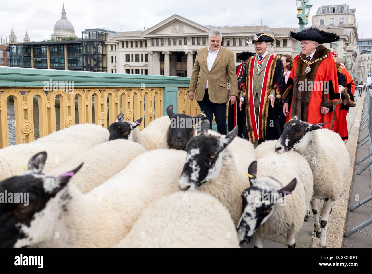 Richard Corrigan (L), a well-known Irish chef, is seen driving the ...