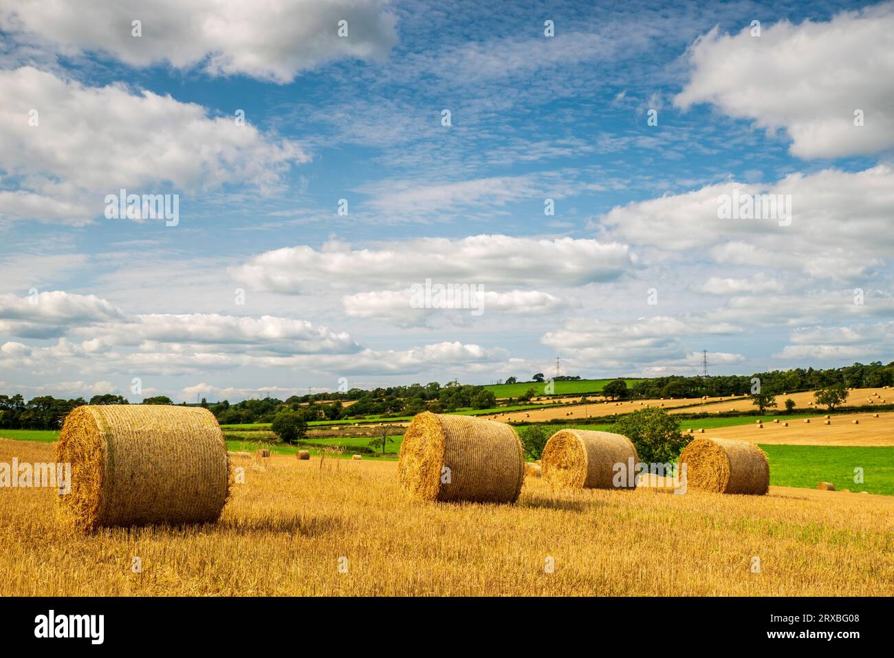 Newmilns, east ayrshire hi-res stock photography and images - Alamy