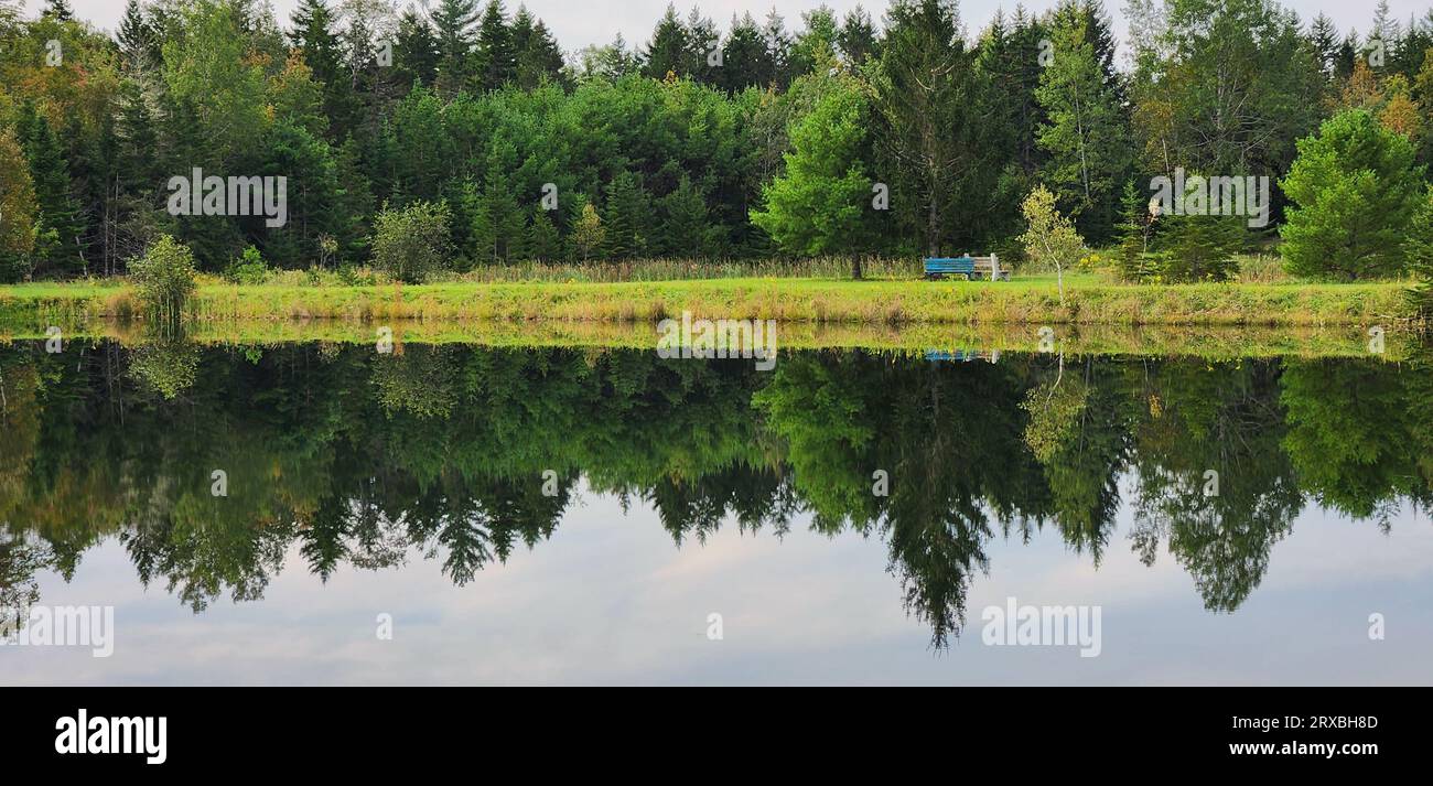 Victoria Park is a 3,000-acre natural woodland urban park in the center ...