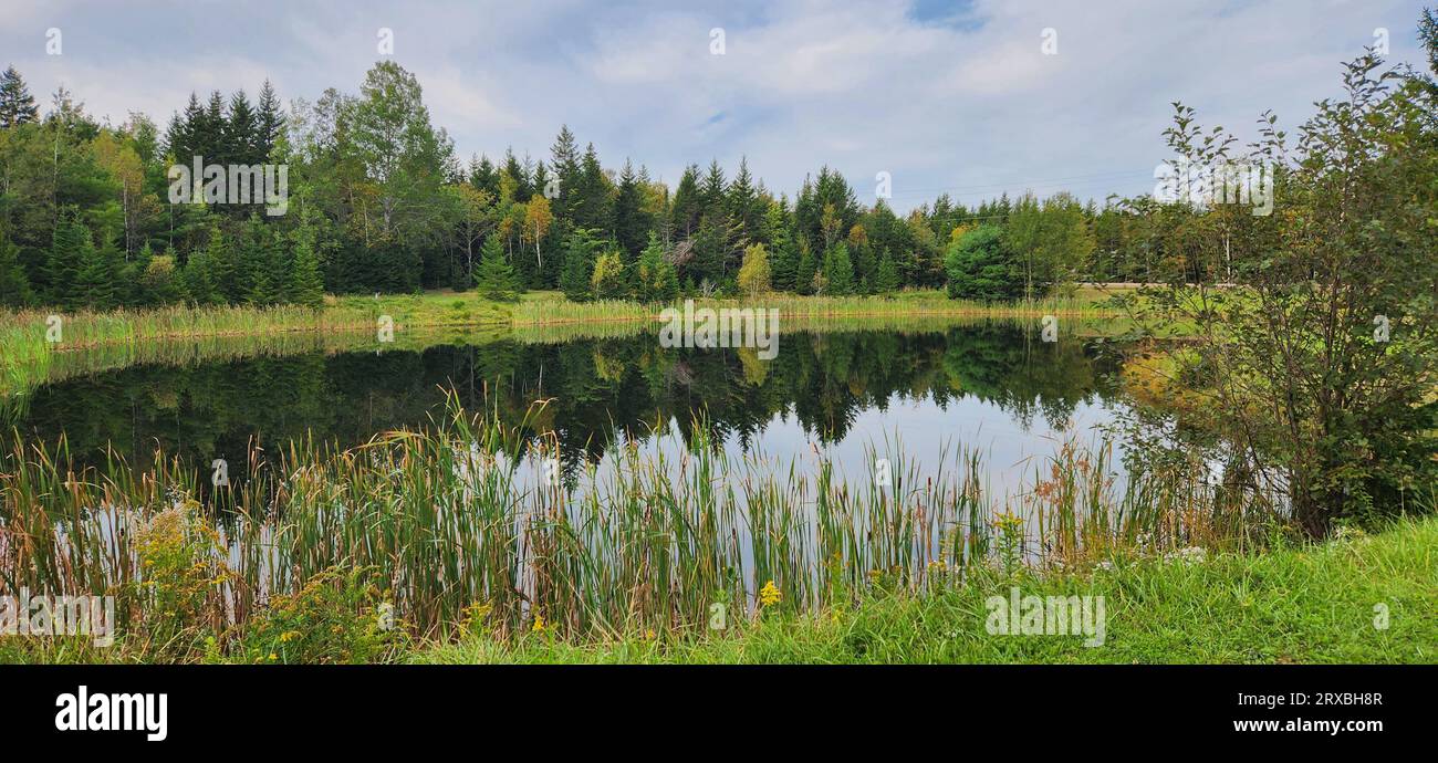 Victoria Park is a 3,000-acre natural woodland urban park in the center of Truro, Nova Scotia ...