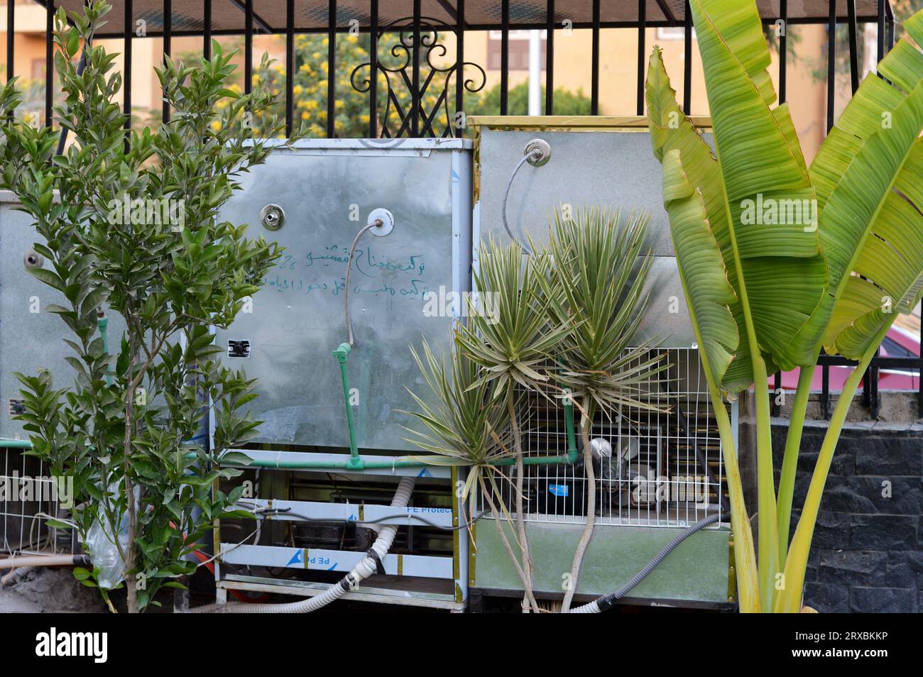 Cairo, Egypt, September 17 2023: Cold water inside a mosque as Sadaqah ...
