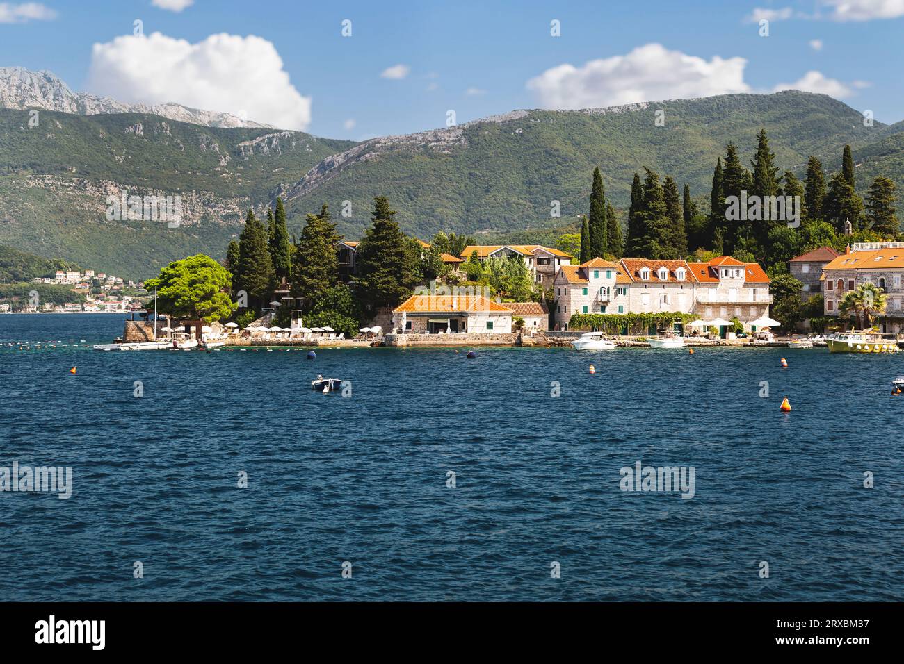 Rose village in the morning light, Lustica peninsula, Luštica, Herceg ...