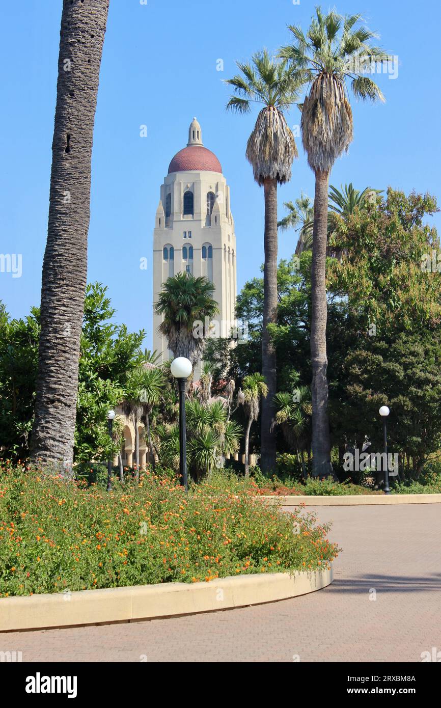 Hoover Tower, Stanford University, California Stock Photo - Alamy
