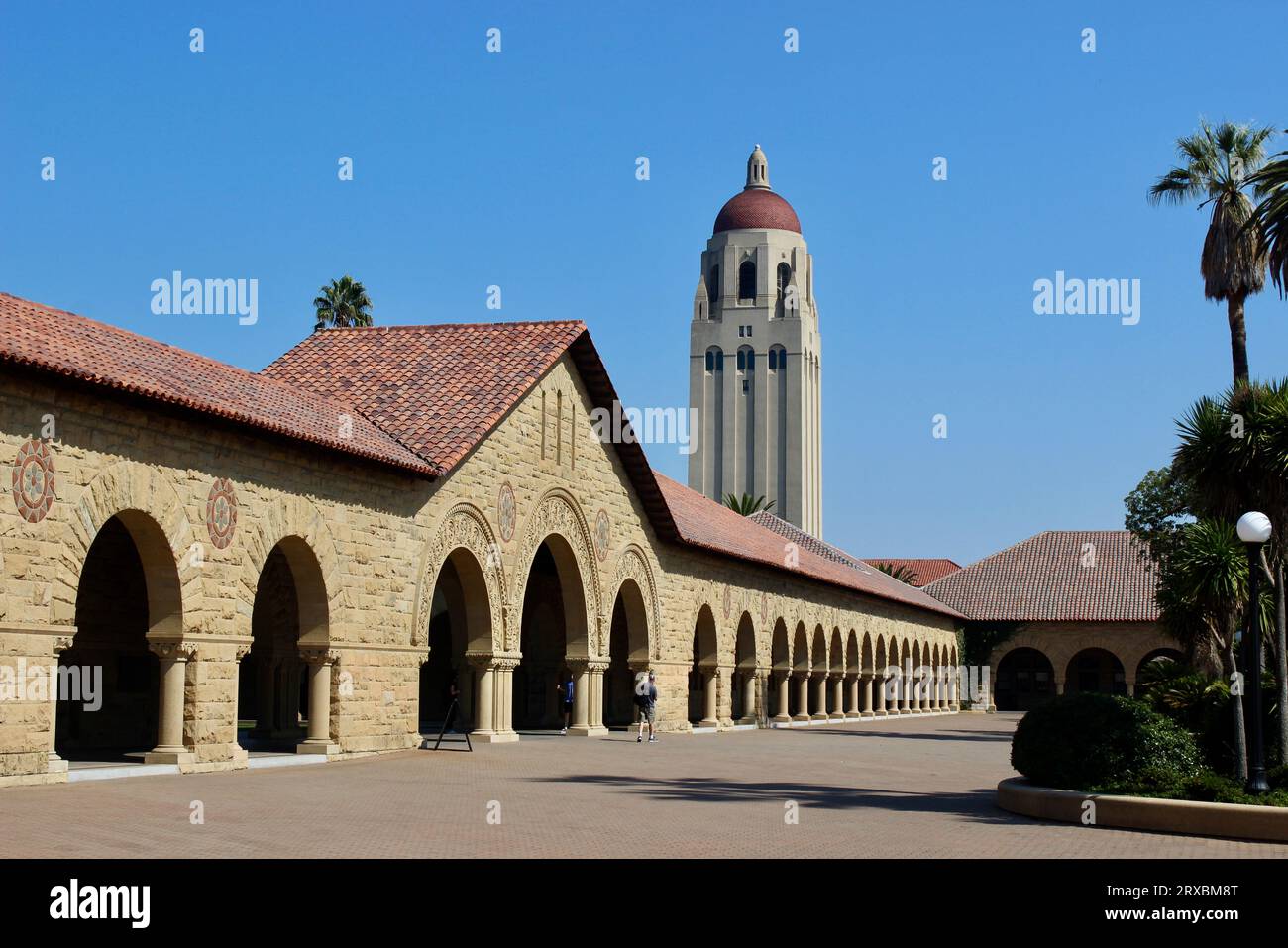 Main Quad and Hoover Tower, Stanford University, California Stock Photo ...