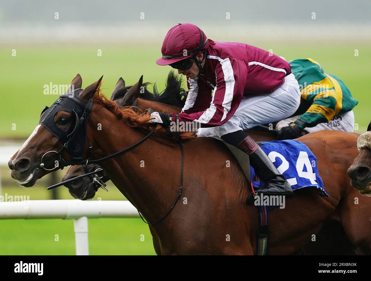 Irish cesarewitch magellan strait hi-res stock photography and images ...