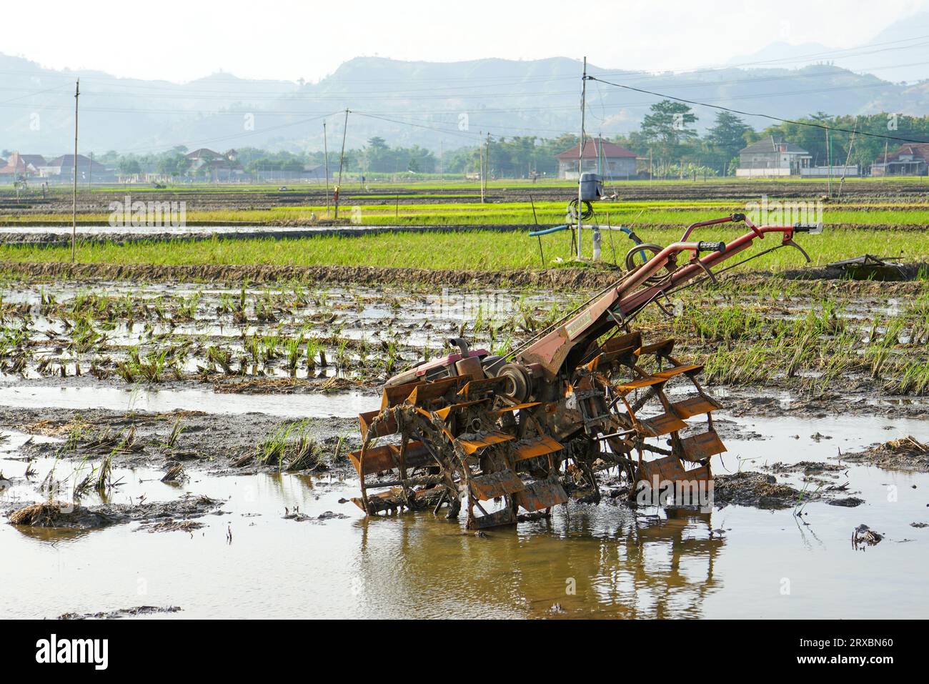 Farmer plowing muddy field with hand tractor. A farmer is using a ...