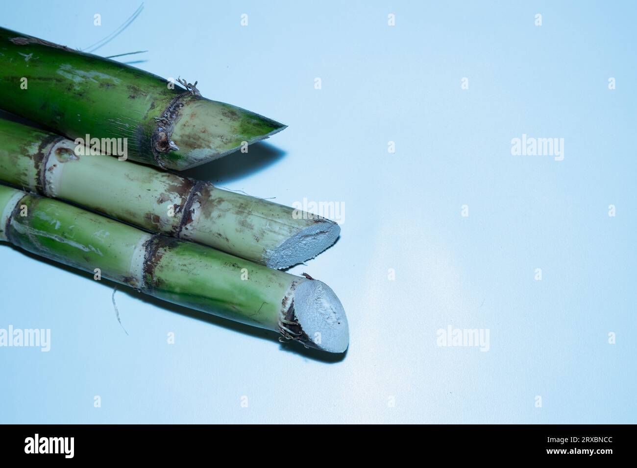 Photo of cane on white background with copy space on right side Stock ...