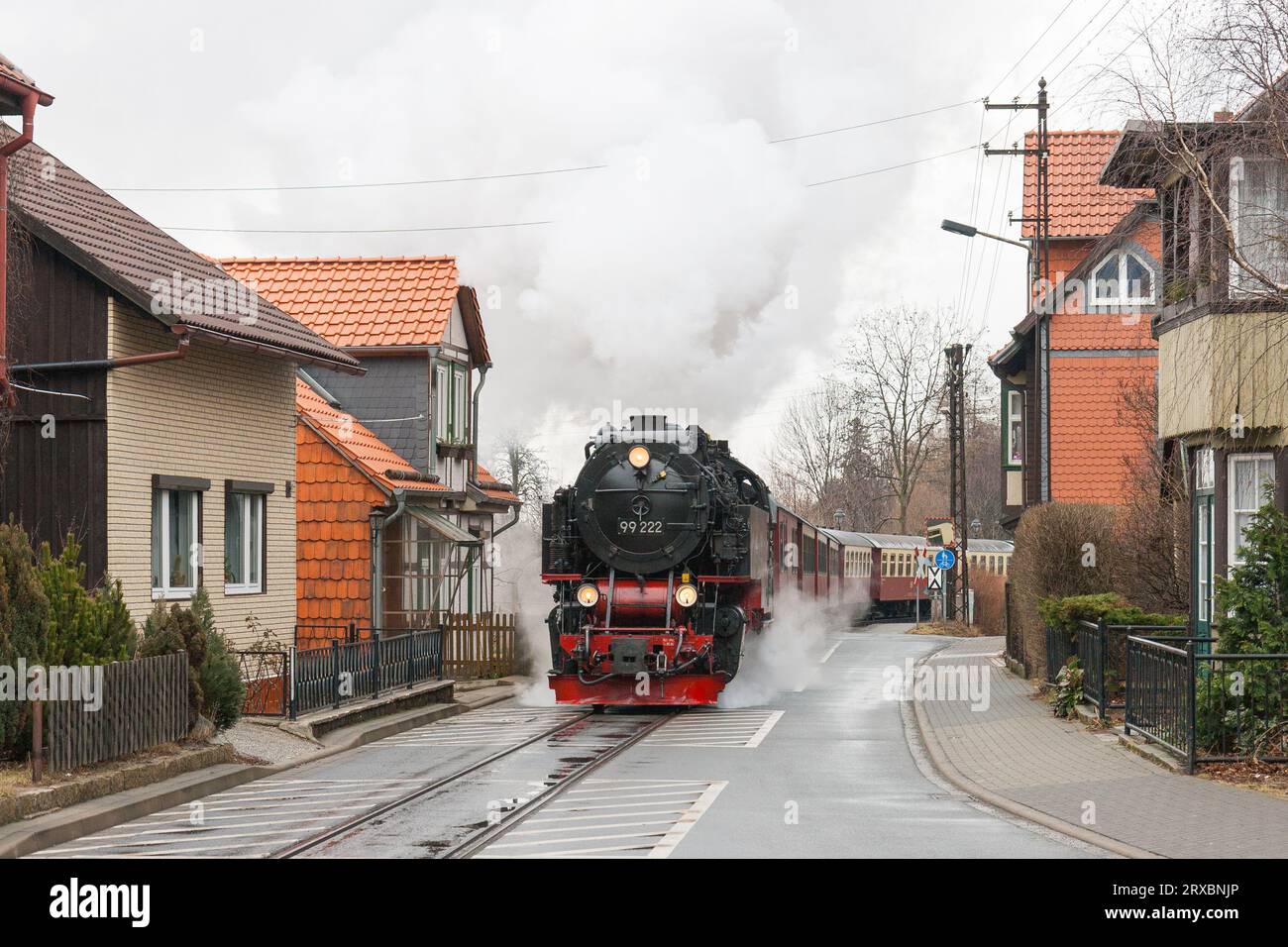 A steam train of the Harz narrow gauge railway travelling towards the ...