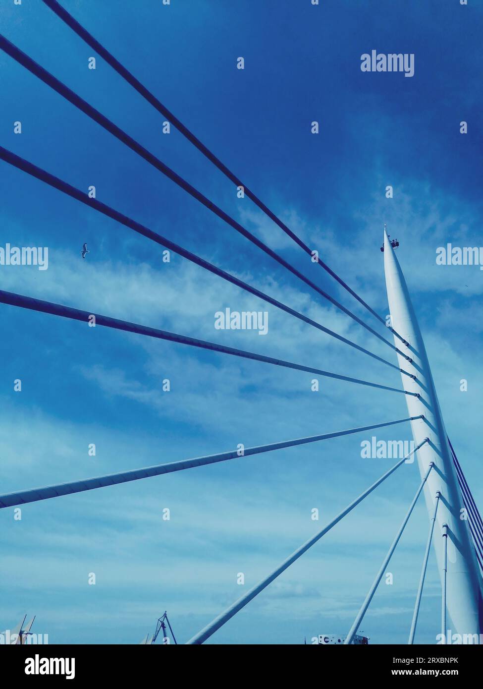 A view of a very tall bridge with many cables Stock Photo - Alamy