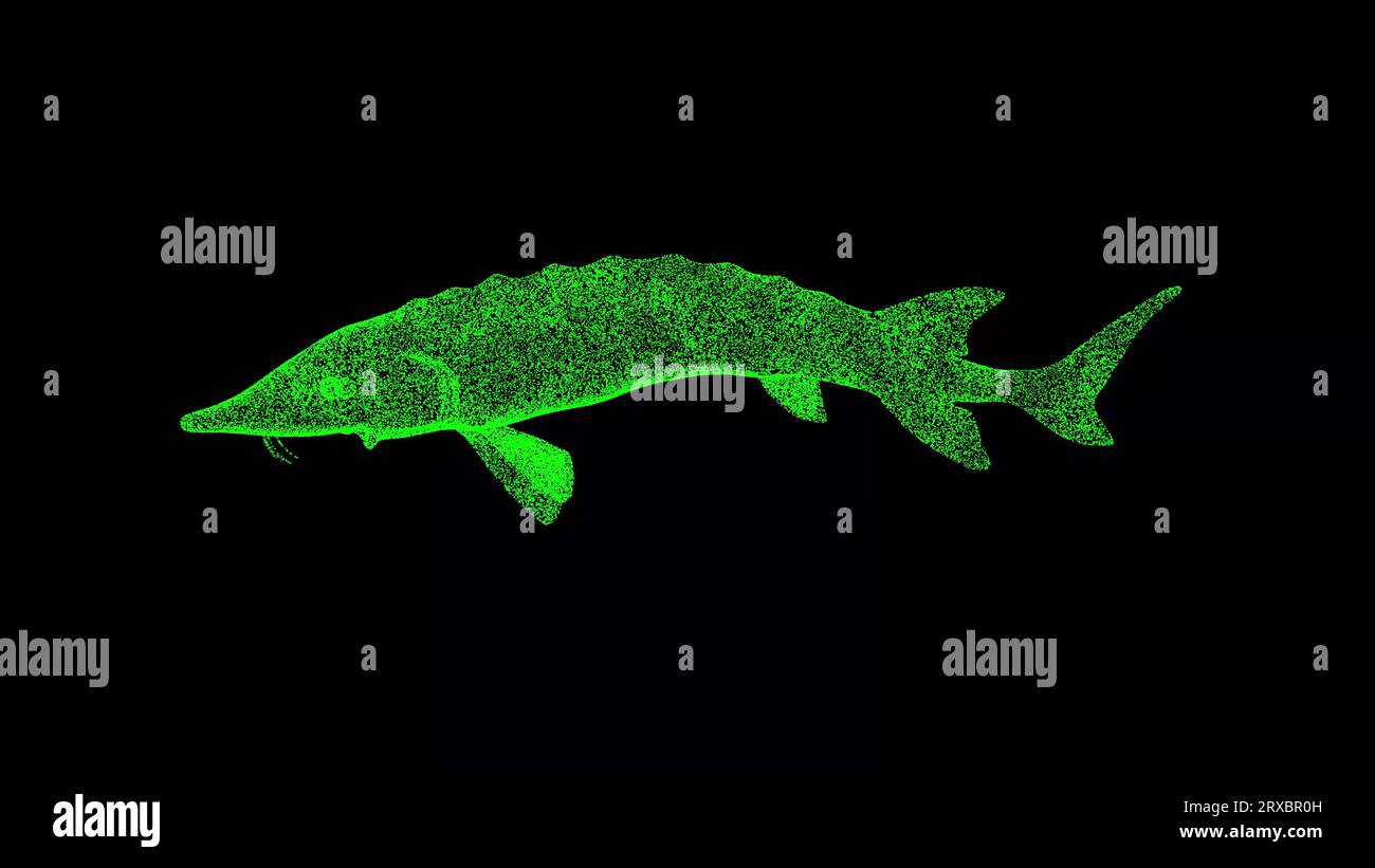 River habitat animation hi-res stock photography and images - Alamy