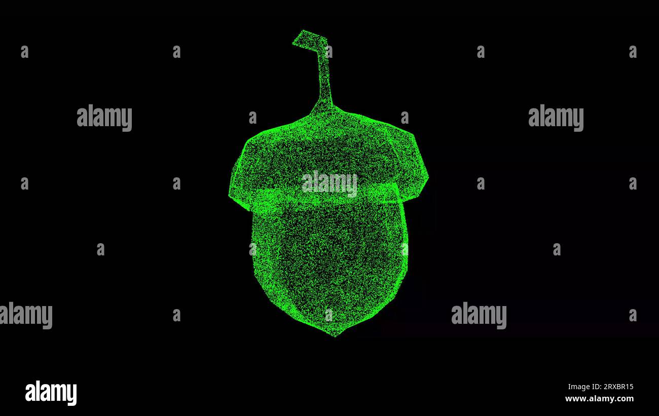 3D acorn rotates on black background. Nuts and fruits concept. Wild ...