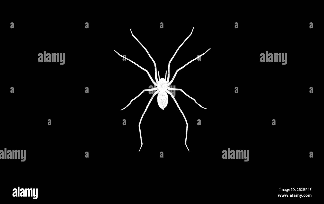 3D Spider rotates on black background. Insects and nature concept ...