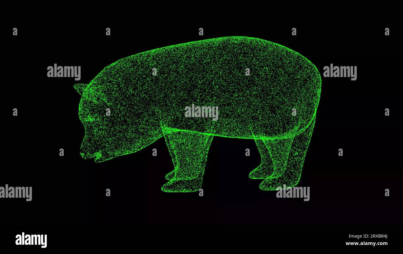 3D Panda rotates on black background. Zoo Park concept. Wild animals ...