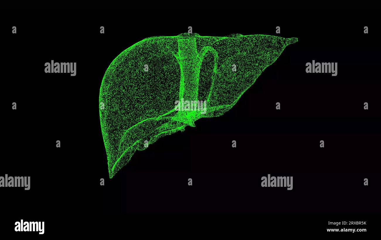 3D Human liver rotates on black background. Science and medicine ...